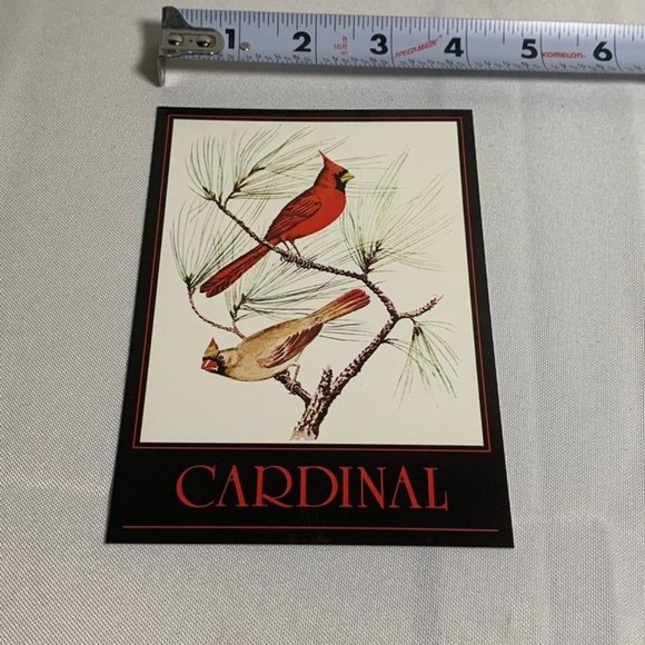Office | Vintage Virginia State Bird Cardinal Postcard Va 132 | Poshmark